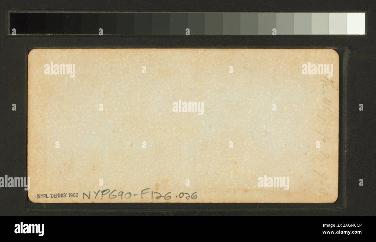 Orange Tree, Stowe Estate Orange Tree, Stowe Estate.; Orange Tree ...