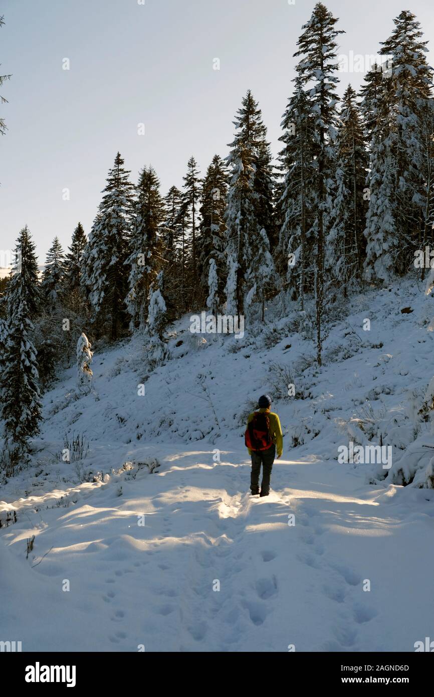 people hiking in the snow in the town of tonya trabzon turkey Stock ...