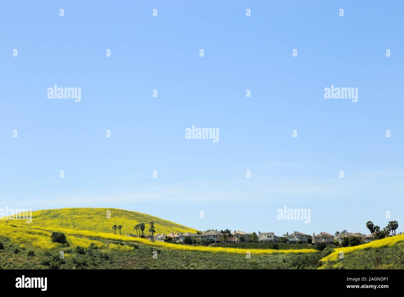 Suburban background hi-res stock photography and images - Alamy
