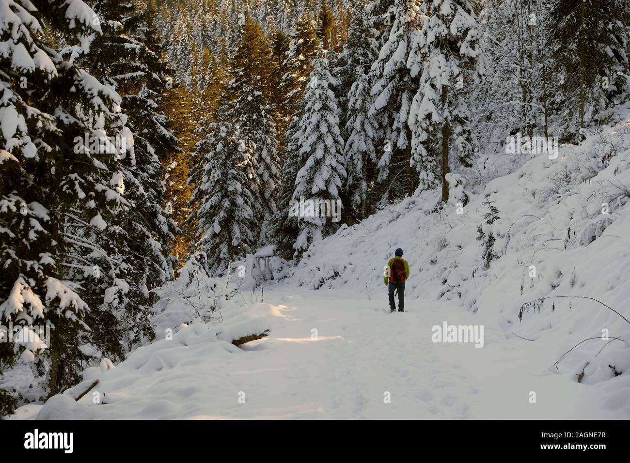 people hiking in the snow in the town of tonya trabzon turkey Stock ...