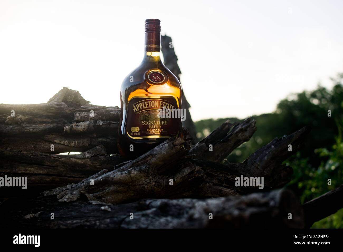APPLETON ESTATE, JAMAICA - Jul 05, 2019: Bottle of APPLETON ESTATE ...