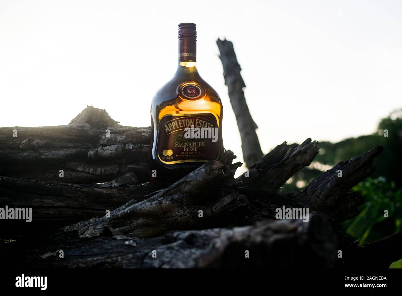 APPLETON ESTATE, JAMAICA - Jul 05, 2019: Bottle of APPLETON ESTATE ...