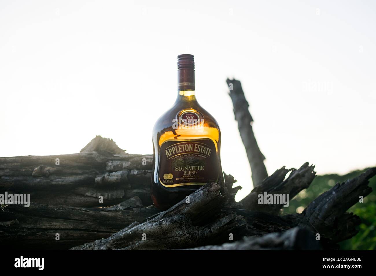APPLETON ESTATE, JAMAICA - Jul 05, 2019: Bottle of APPLETON ESTATE ...
