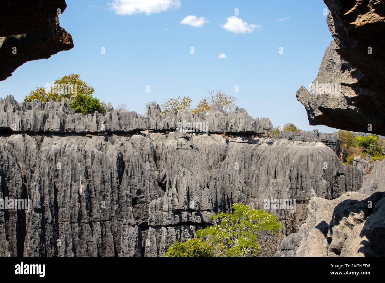National park in madagascar hi-res stock photography and images - Alamy