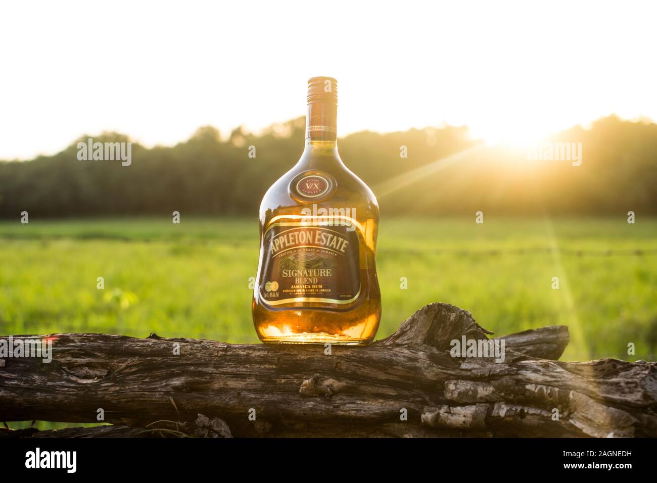 APPLETON ESTATE, JAMAICA - Jul 05, 2019: Bottle of APPLETON ESTATE ...