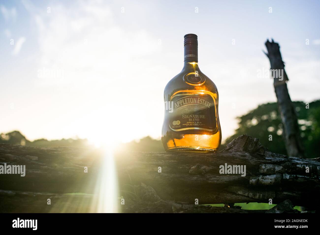 APPLETON ESTATE, JAMAICA - Jul 05, 2019: Bottle of APPLETON ESTATE ...