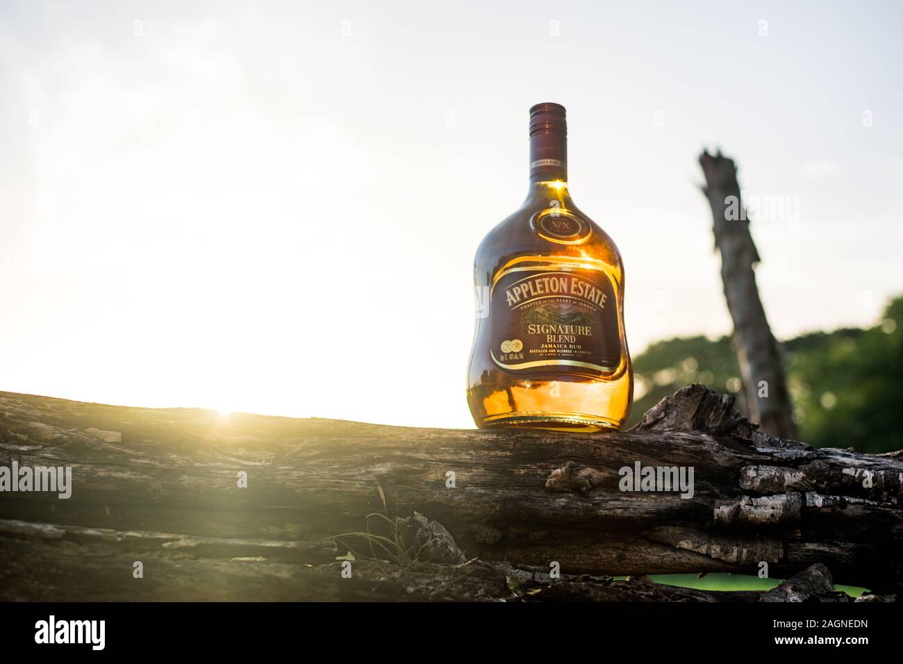 APPLETON ESTATE, JAMAICA - Jul 05, 2019: Bottle of APPLETON ESTATE ...