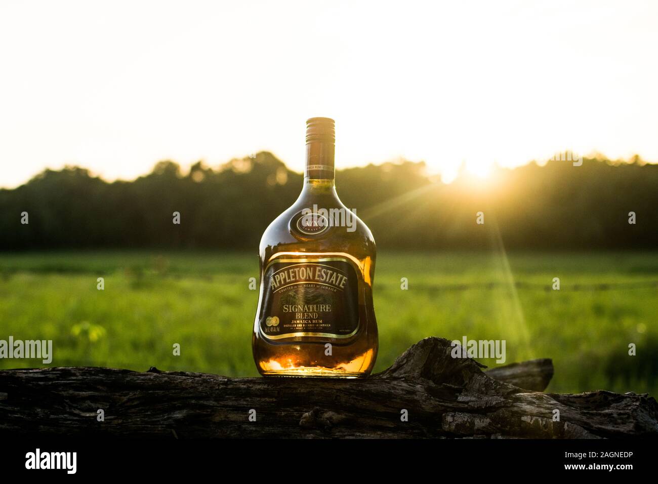 APPLETON ESTATE, JAMAICA - Jul 05, 2019: Bottle of APPLETON ESTATE ...