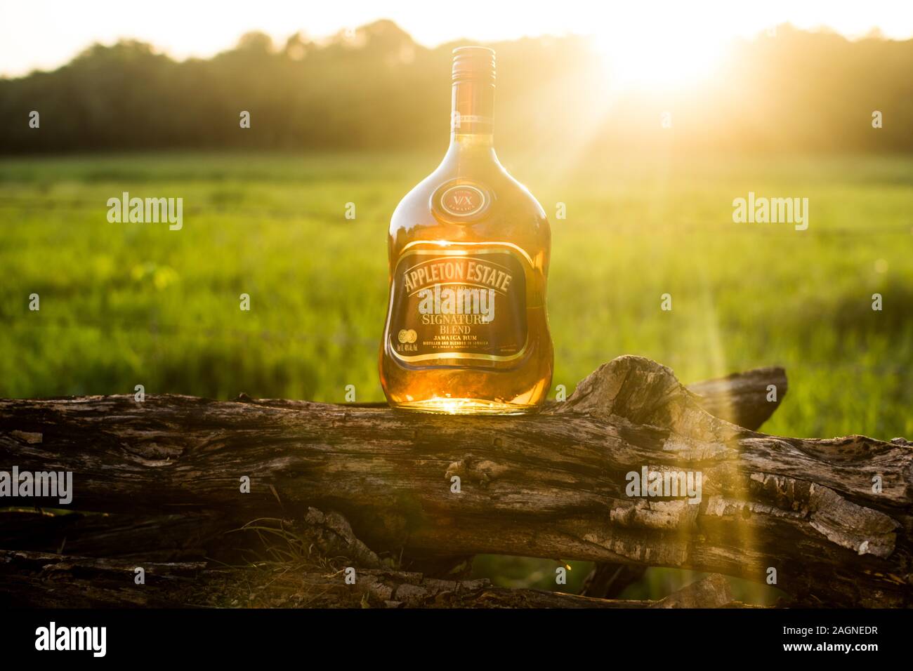 APPLETON ESTATE, JAMAICA - Jul 05, 2019: Bottle of APPLETON ESTATE ...