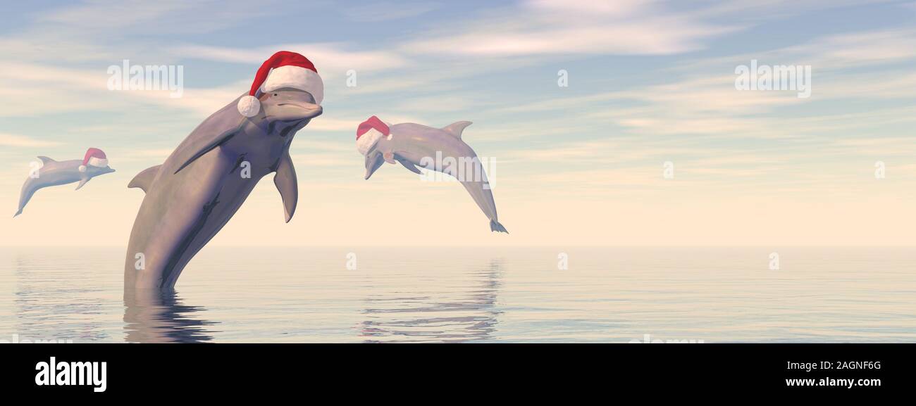 Dolphins celebrating christmas in the ocean - 3D render Stock Photo - Alamy