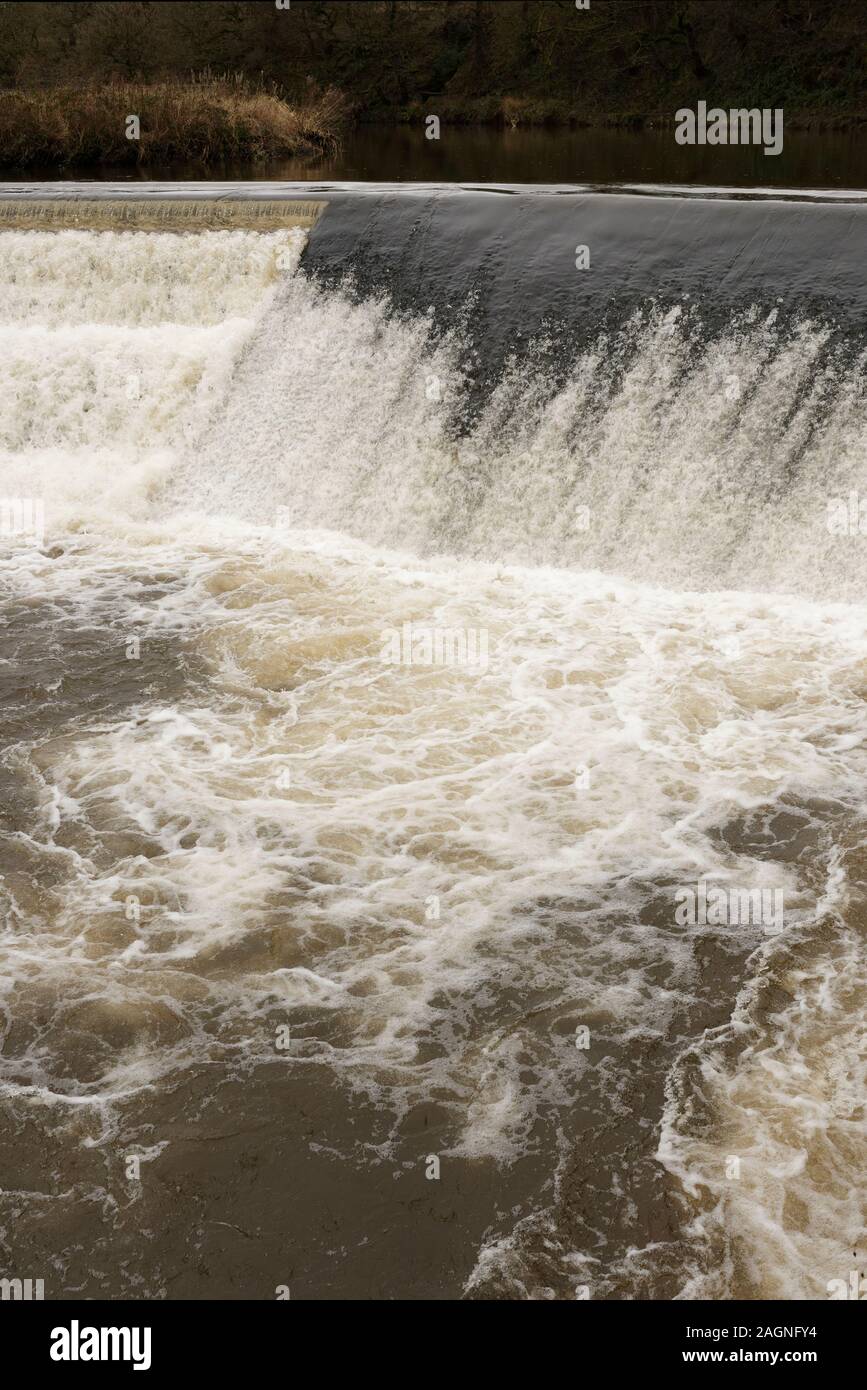 Fast flowing river irwell plunging over weir and aerating river ...