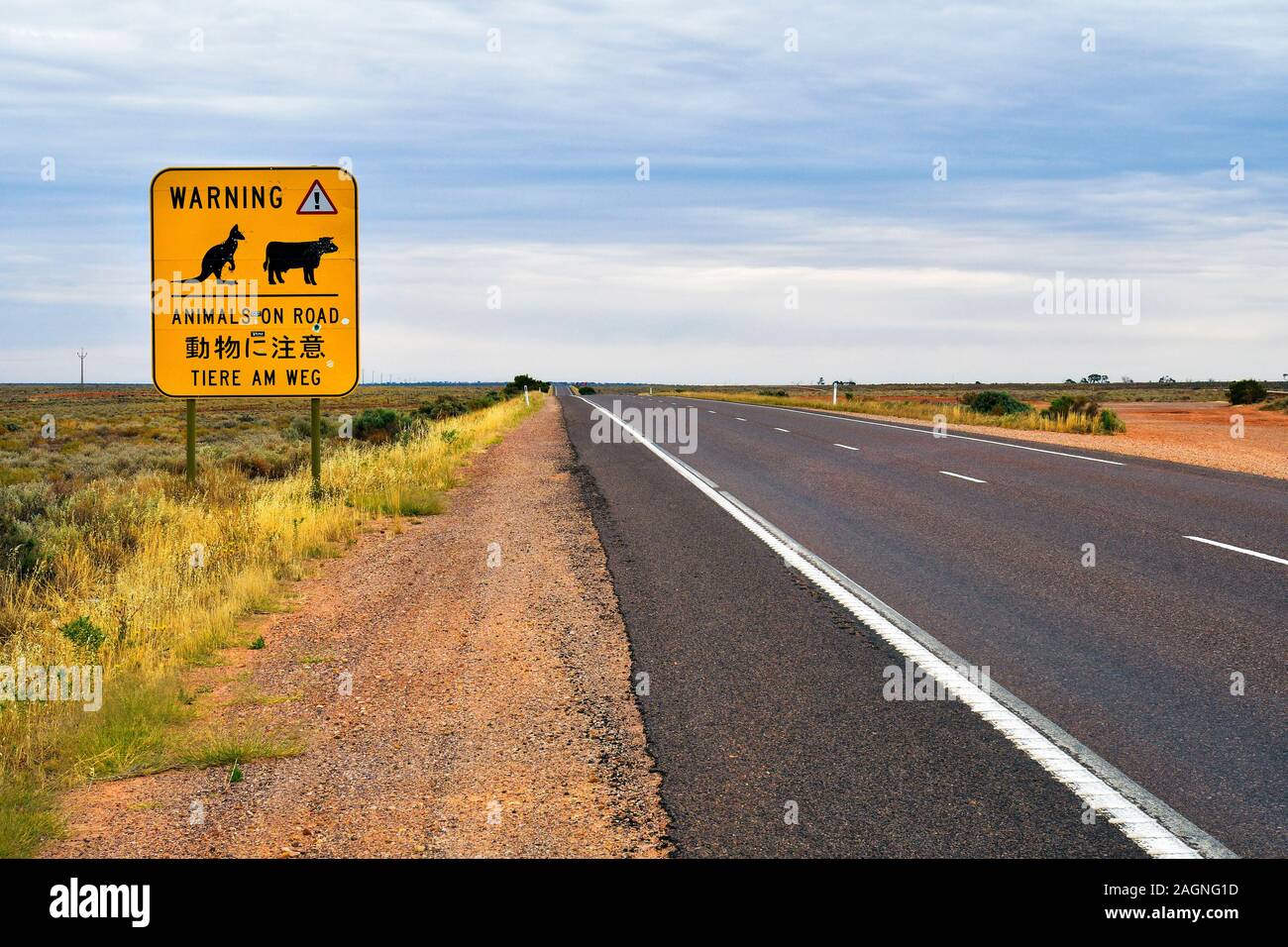 Australia, warning sign in different languages on Stuart Highway Stock ...