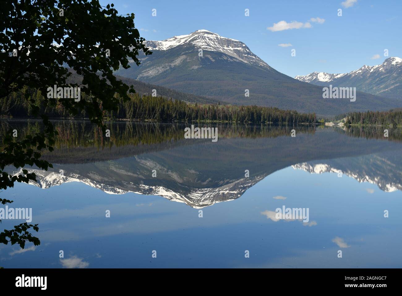 Yellowhead canada hi-res stock photography and images - Alamy