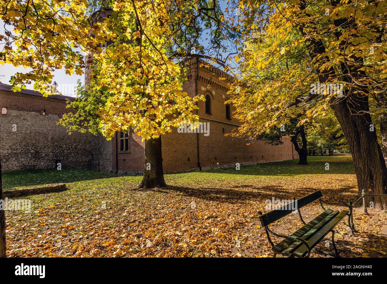 Fallen autumn leaves colorful park alley in Krakow, Poland Stock Photo ...