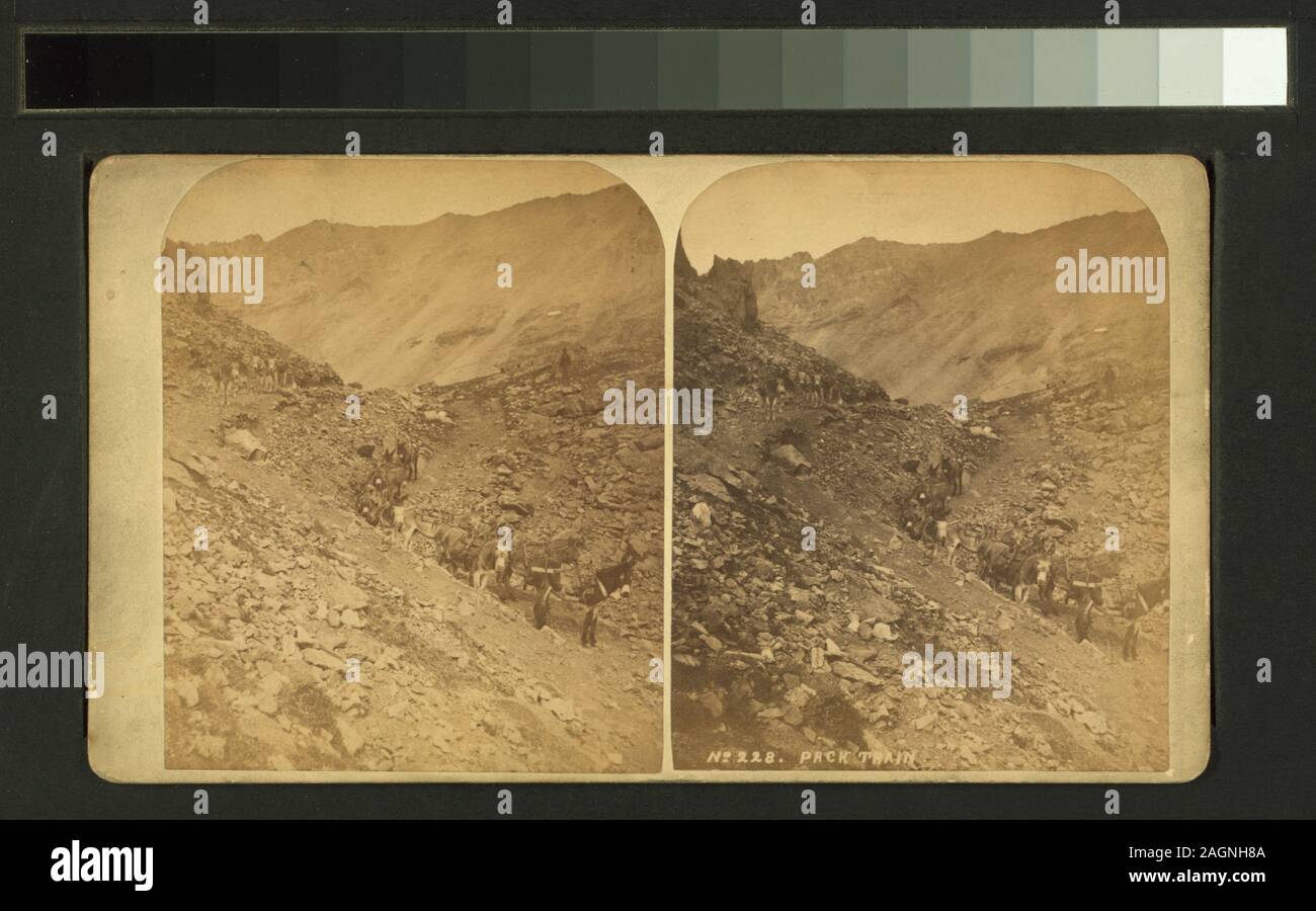 Pack train Pack train.; Pack train Stock Photo - Alamy