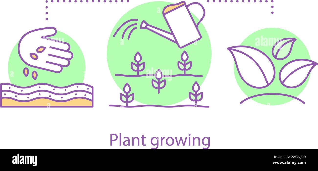Plants growing concept icon. Agriculture idea thin line illustration ...
