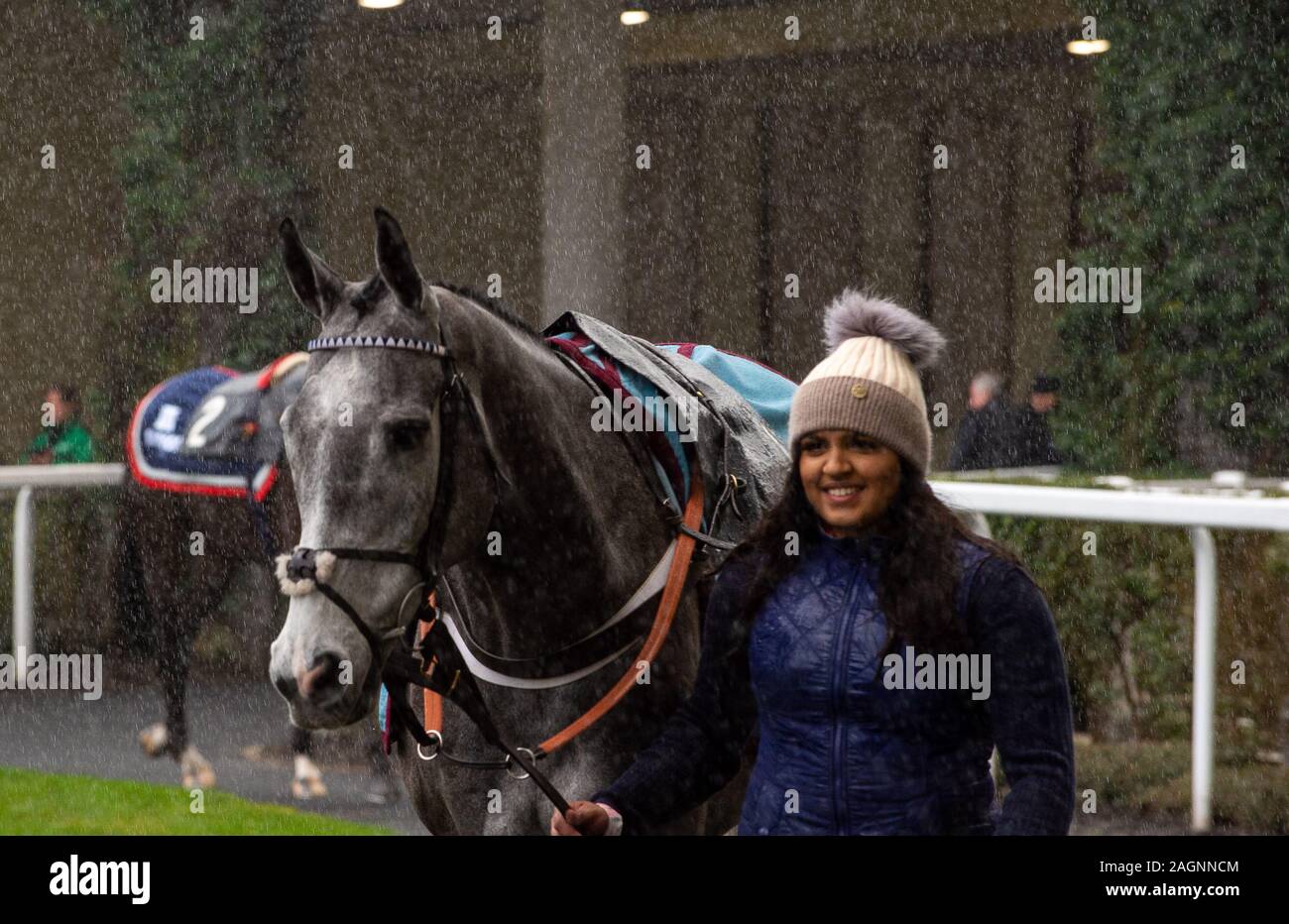 Angels breath racecourse hi-res stock photography and images - Alamy