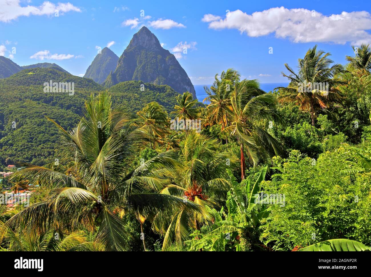 Tropical landscape with the two Pitons, Gros Piton 770m and Petit Piton ...