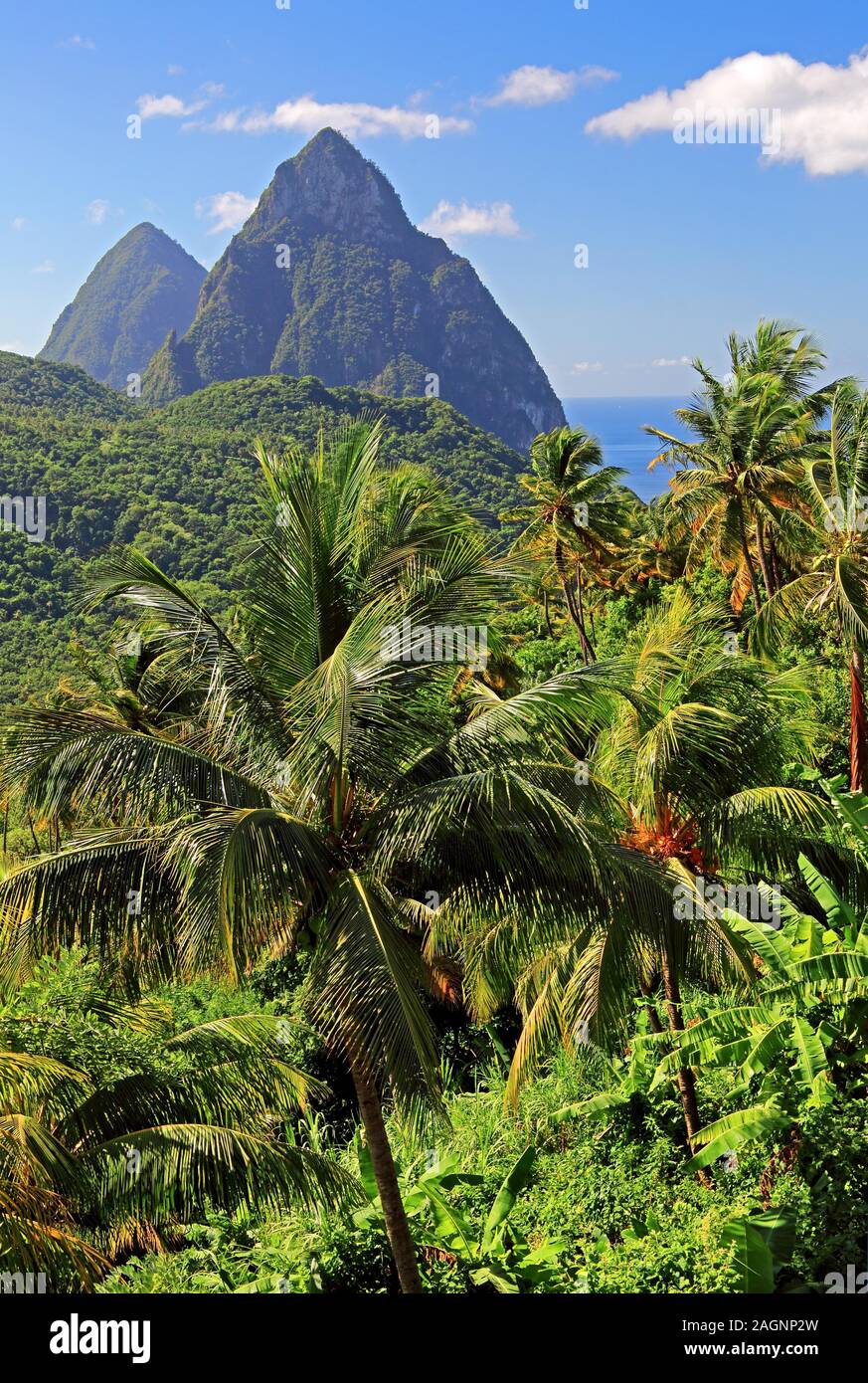 Tropical landscape with the two Pitons, Gros Piton 770m and Petit Piton ...