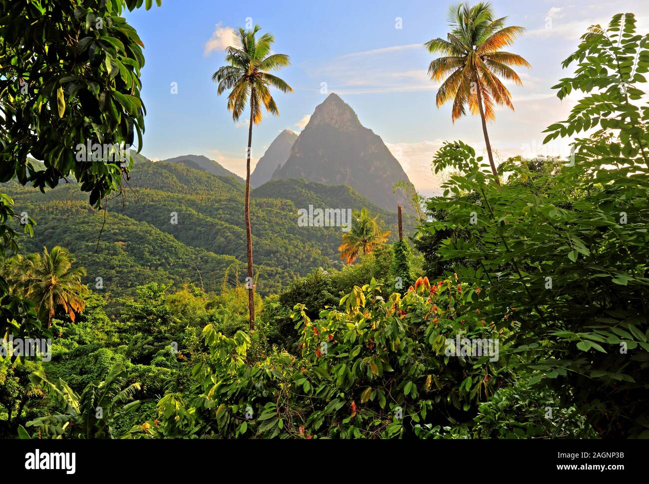 Tropical landscape with the two Pitons, Gros Piton 770m and Petit Piton ...