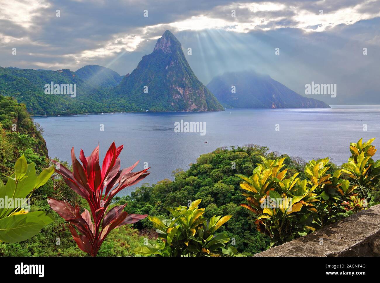 Landscape with the two Pitons, Gros Piton 770m and Petit Piton 743m ...