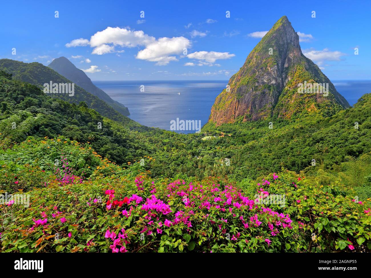 Landscape with the two Pitons, Gros Piton 770m and Petit Piton 743m ...