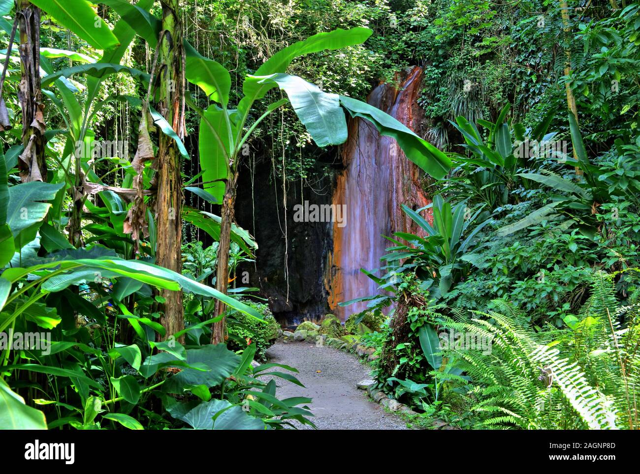 Diamond Waterfall in the Botanical Garden with tropical vegetation ...