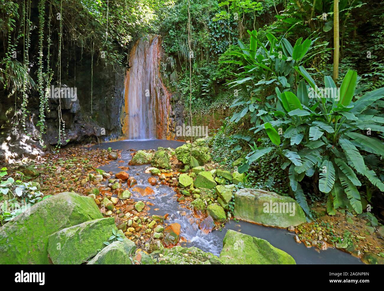 Diamond Waterfall in the Botanical Garden with tropical vegetation ...