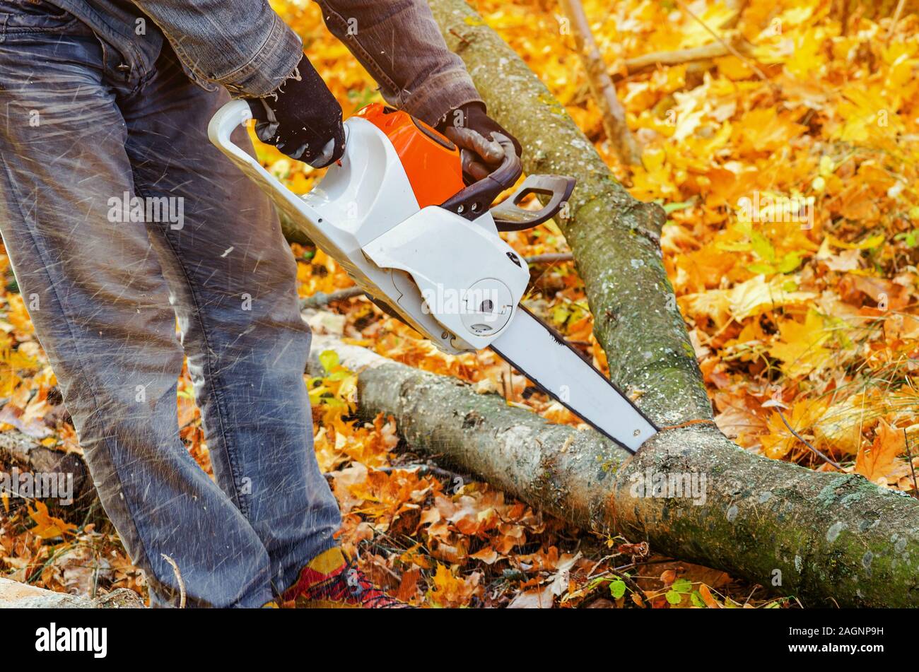 Log saws hi-res stock photography and images - Alamy