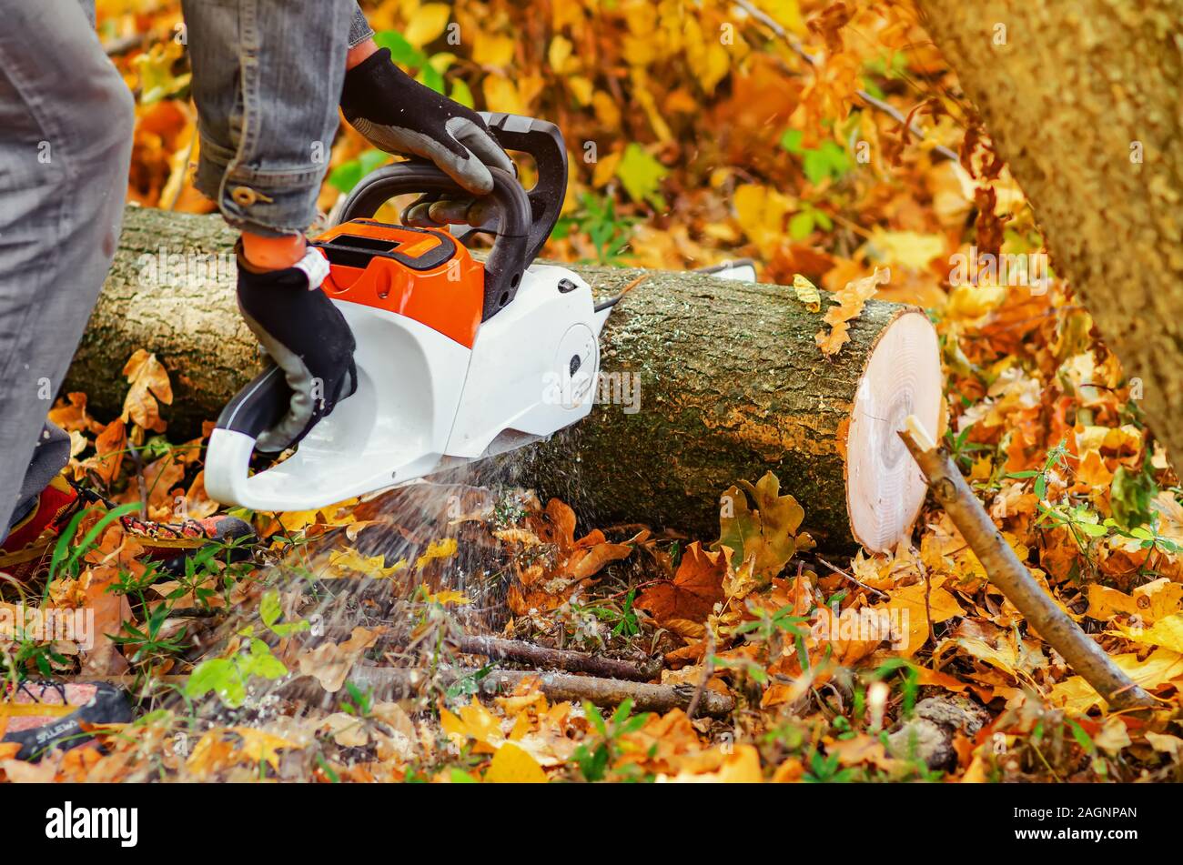 Log saws hi-res stock photography and images - Alamy