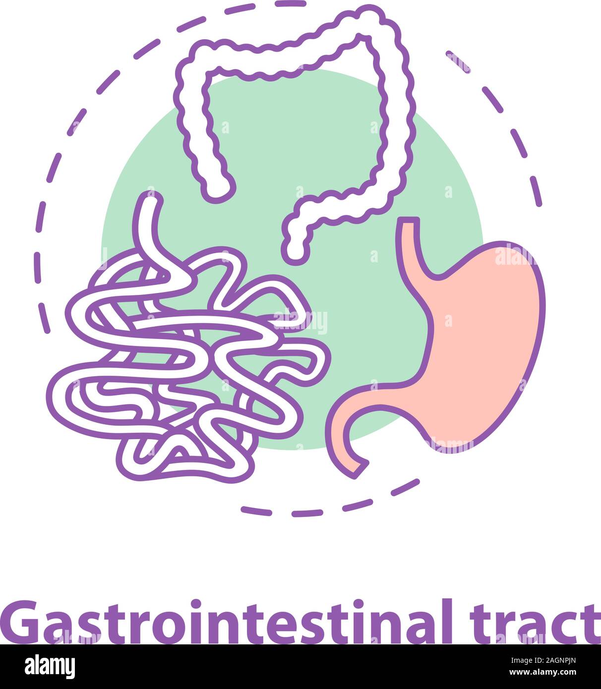 Gastrointestinal tract concept icon. Gastroenterology idea thin line ...