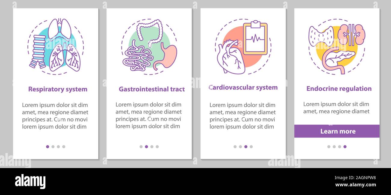 Human anatomy mobile phone app Stock Vector Images - Alamy