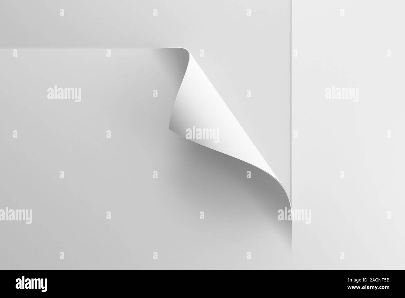 paper with the curled corner, 3d rendering Stock Photo - Alamy