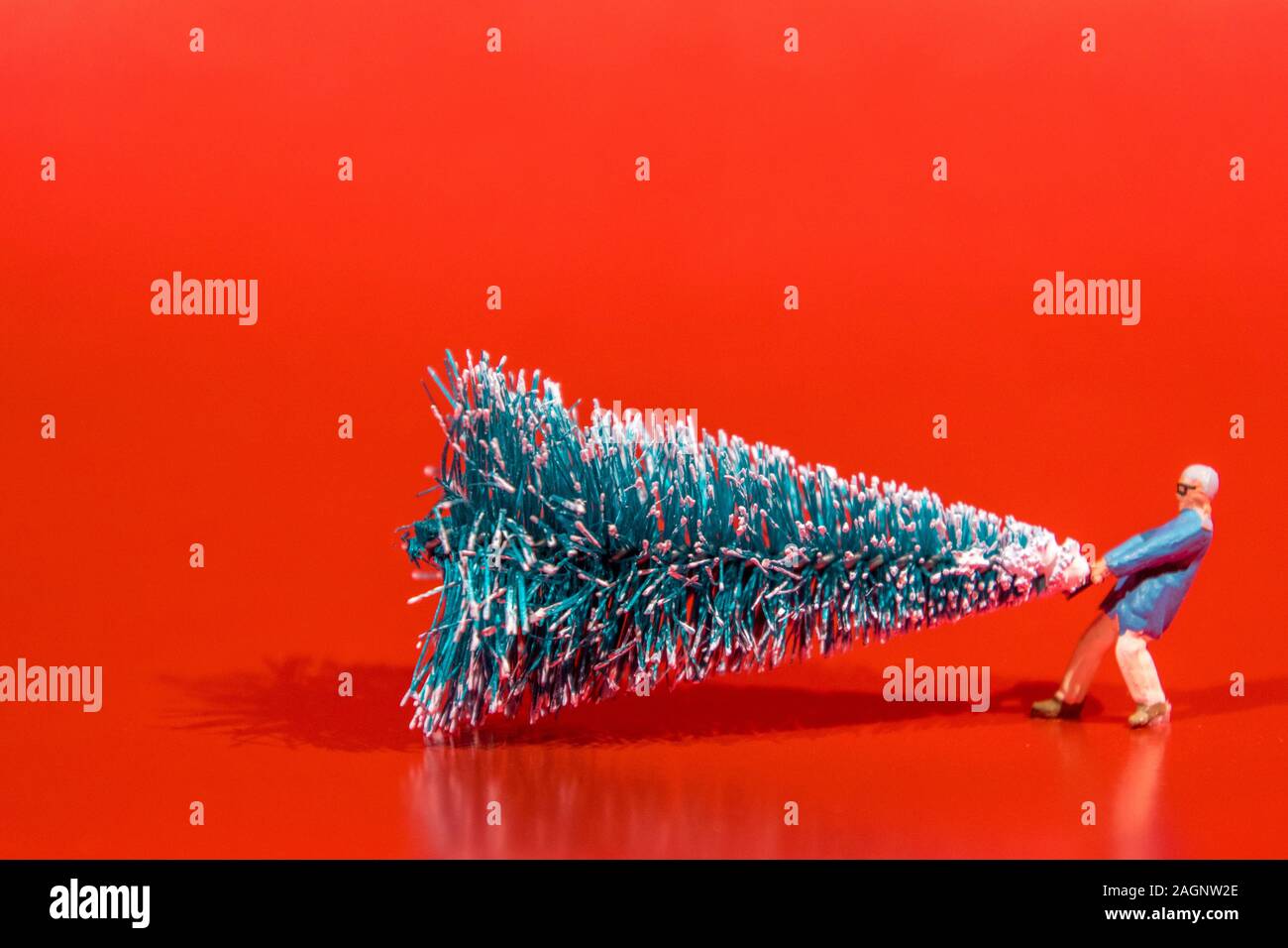 Christmas tree dragging hi-res stock photography and images - Alamy