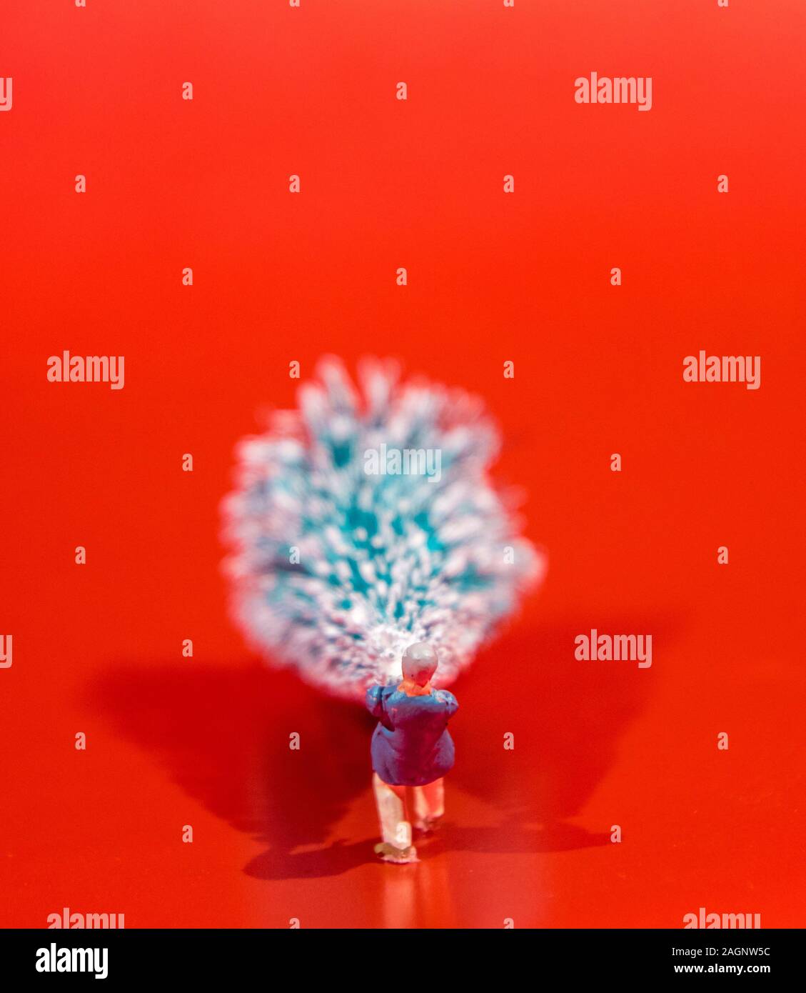 Christmas Tree Dragging High Resolution Stock Photography and Images ...