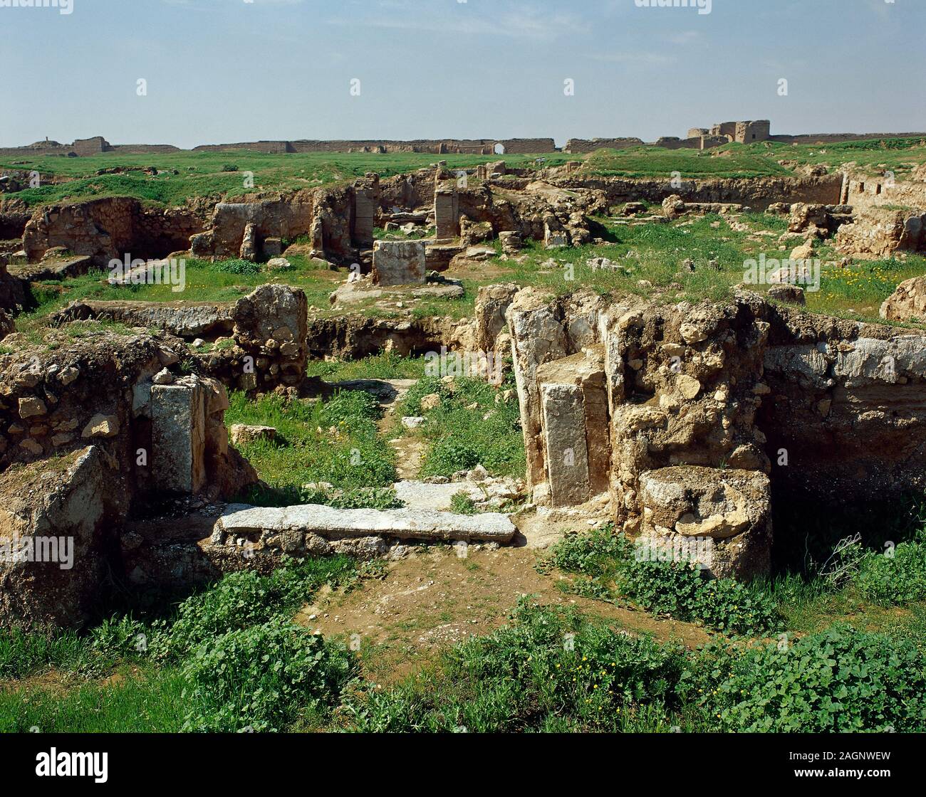 Syria, Dura-Europos (Tell Salihiye). Ancient city, Hellenistic ...