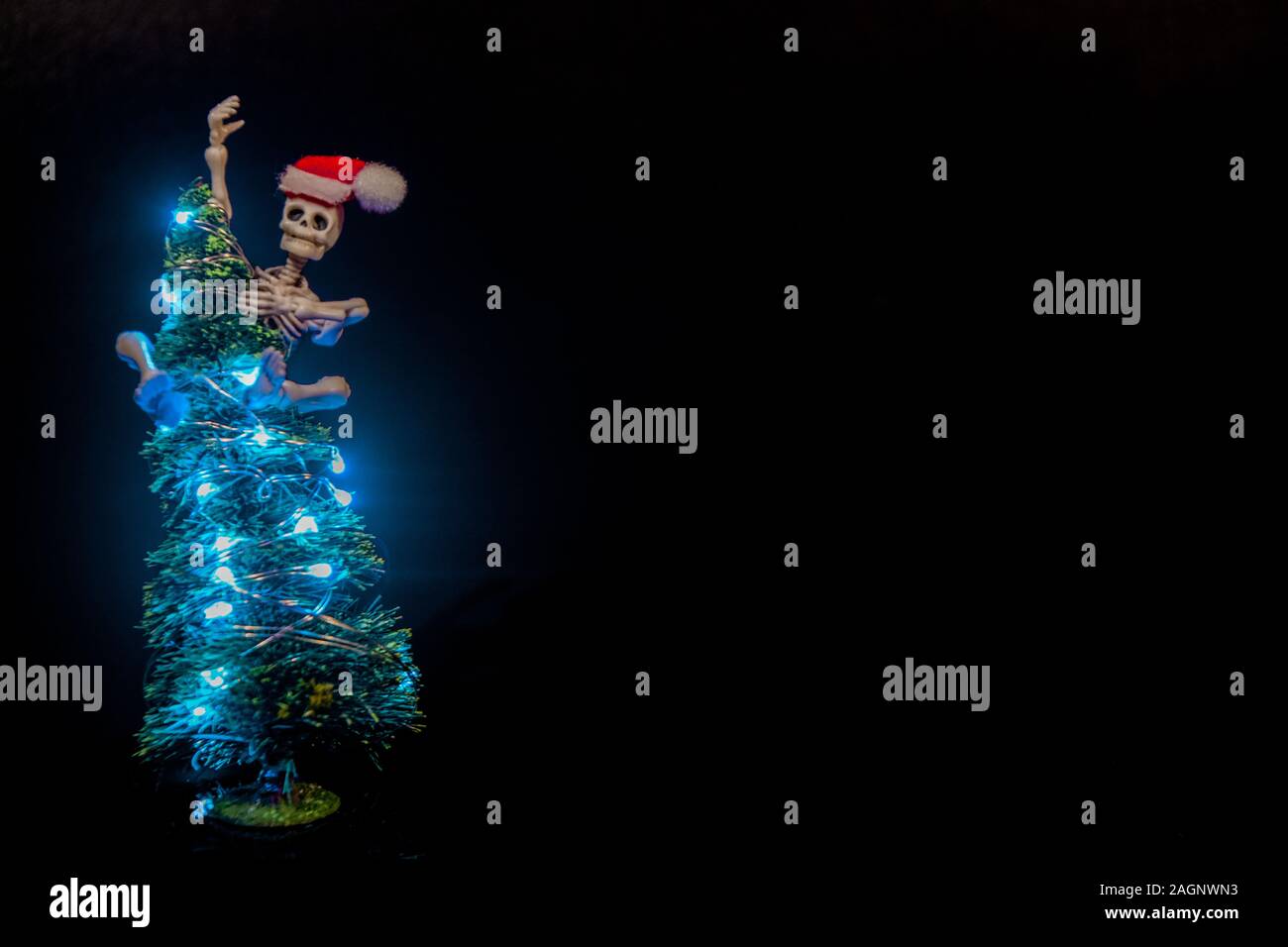 A skeleton hanging onto the top of a lit up Christmas Tree Stock Photo ...