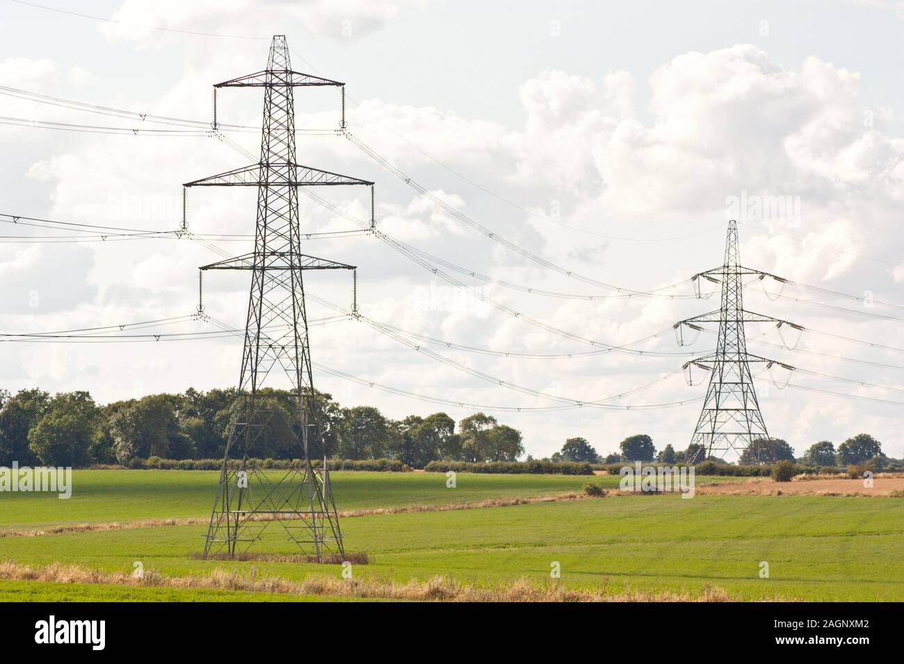 A row of electricity pylons stretch across the countryside, in the ...