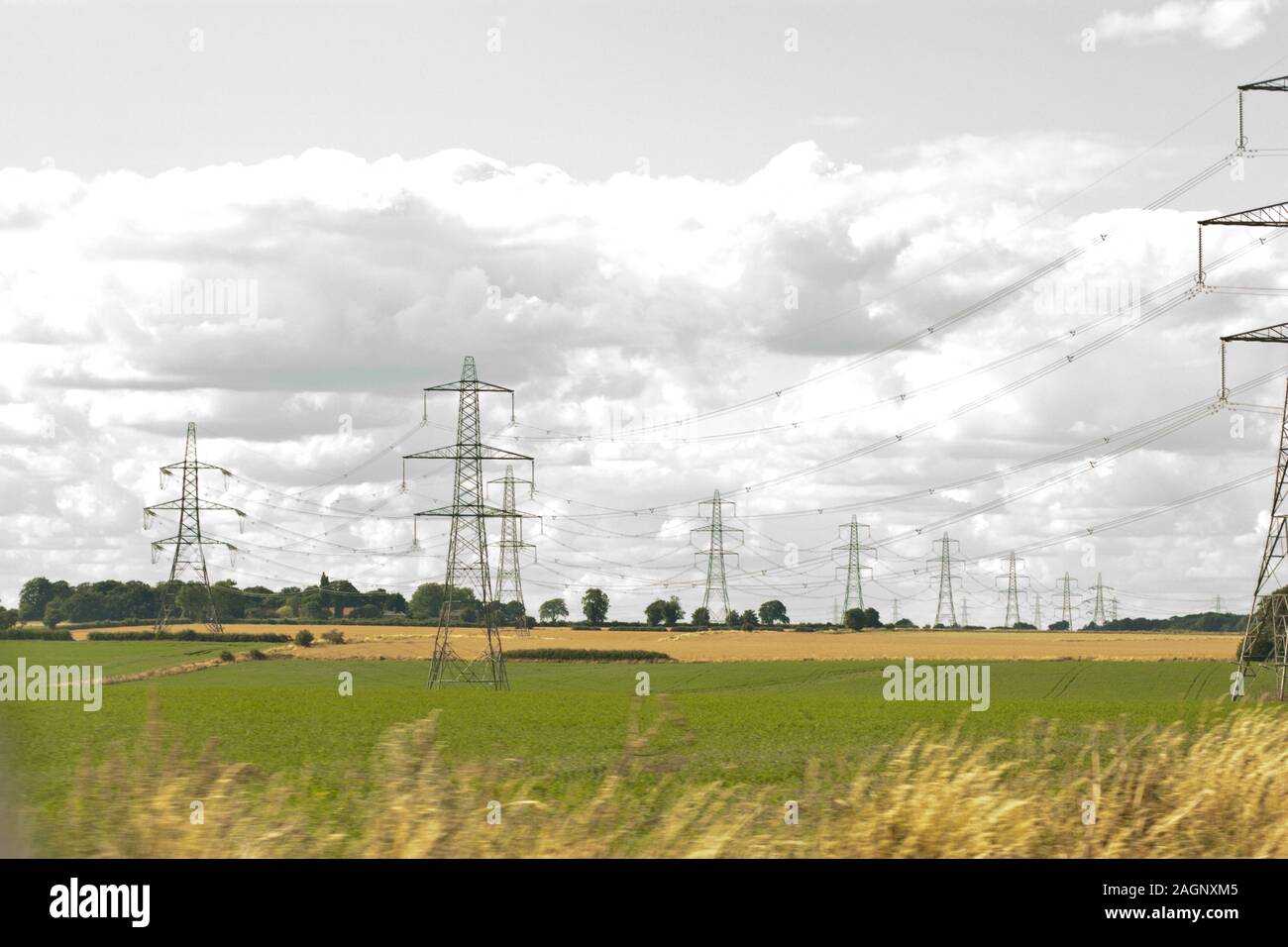 A row of electricity pylons stretch across the countryside, in the ...