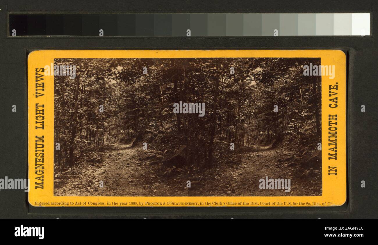 Path leading to the mouth of cave by E. & H.T. Anthony & Company.; Path ...