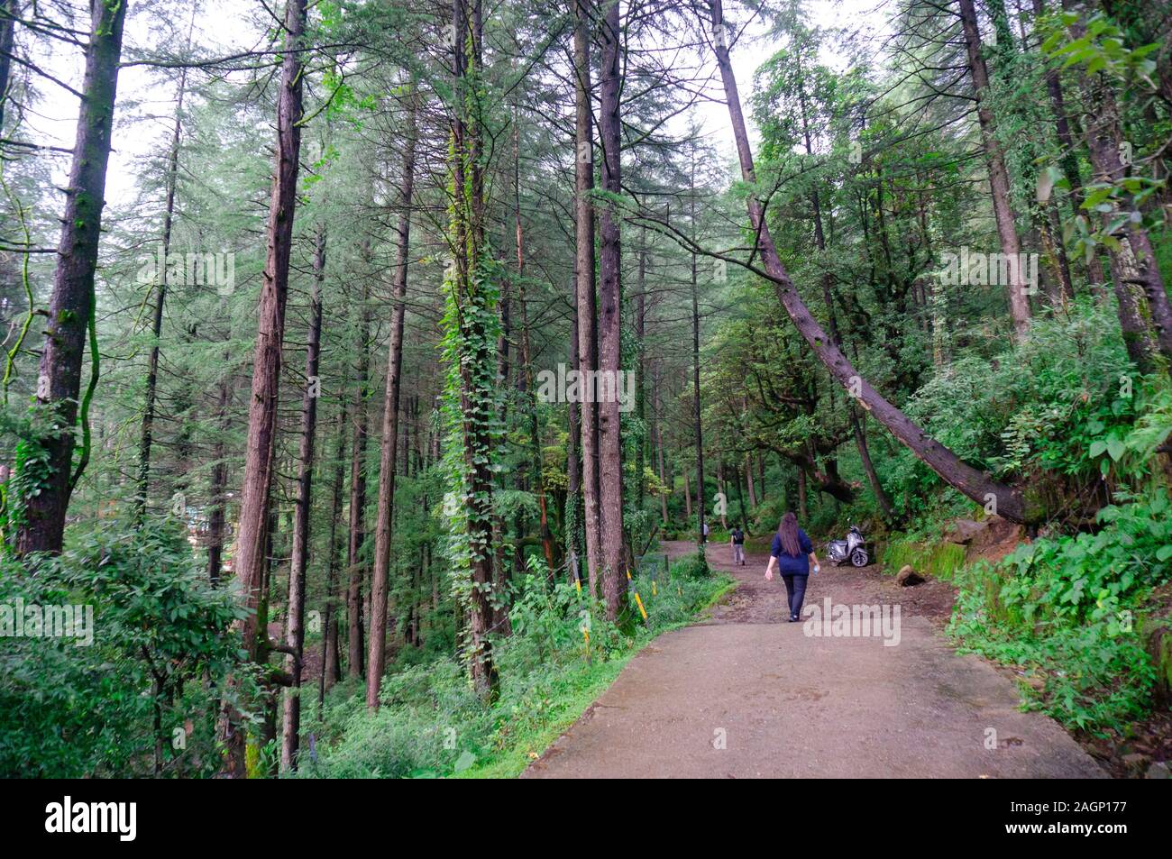 Young indian woman walking trekking on a path on the mountain ranges of ...