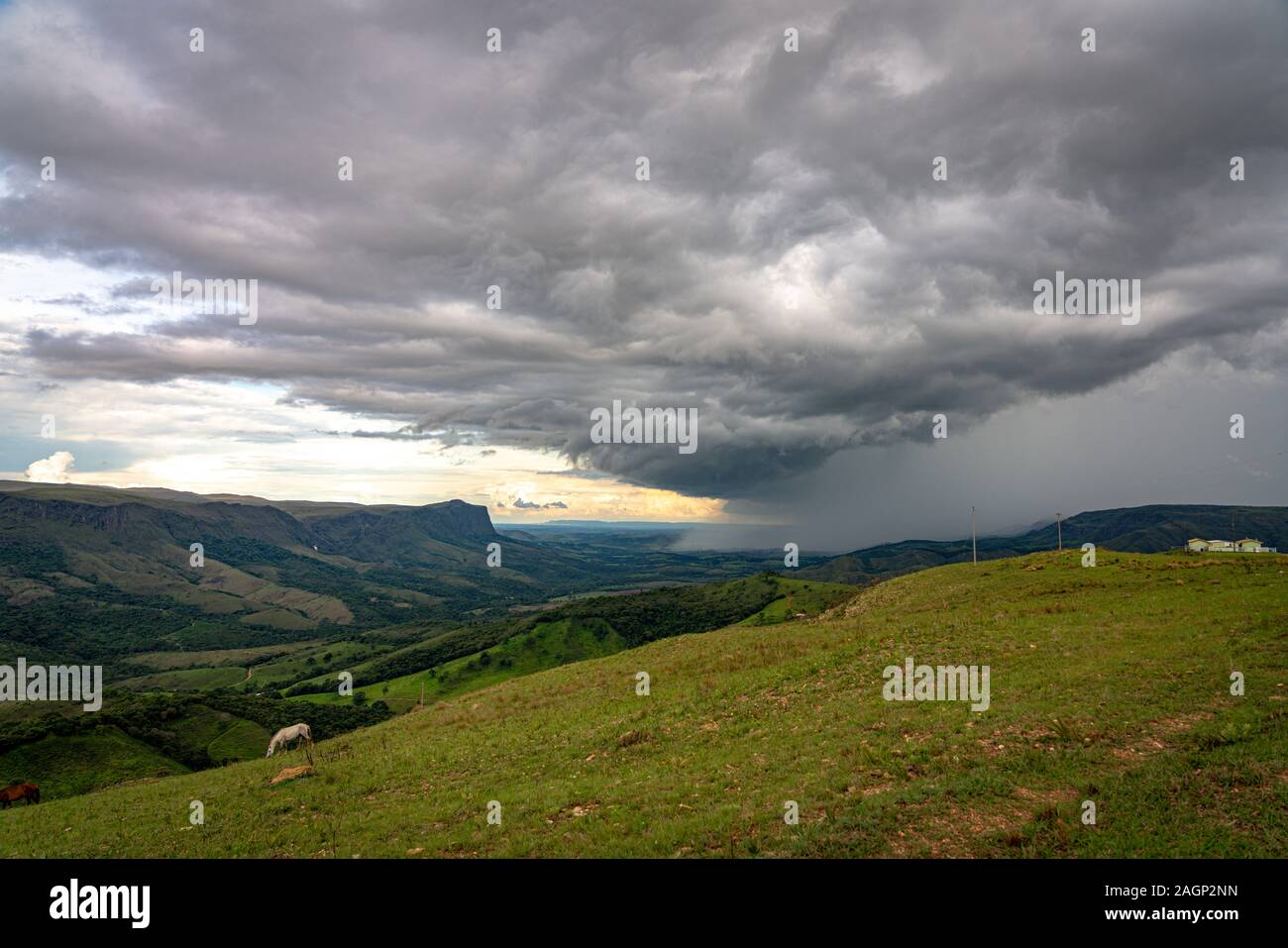 Heavy rain in an open green field in Brazil Stock Photo - Alamy