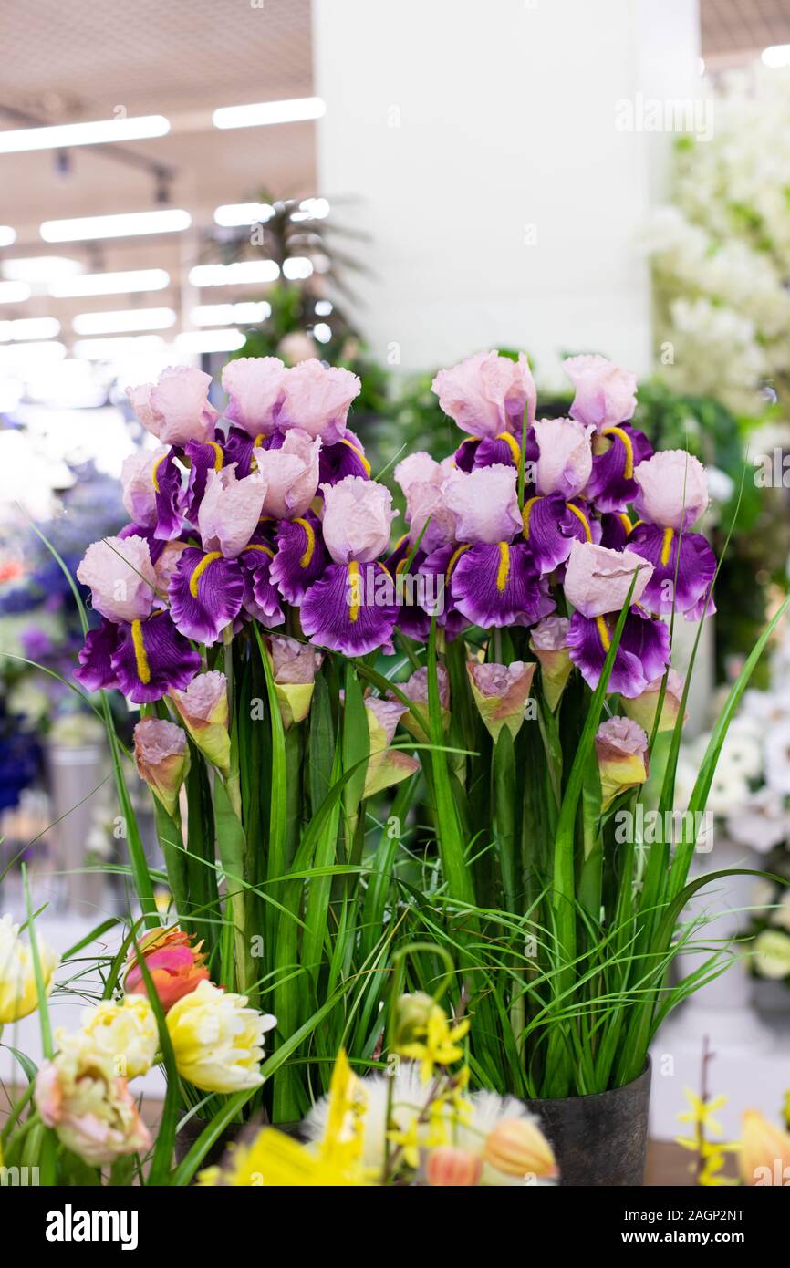 A bouquet of sophisticated fake irises on long stems. Blue purple lilac ...