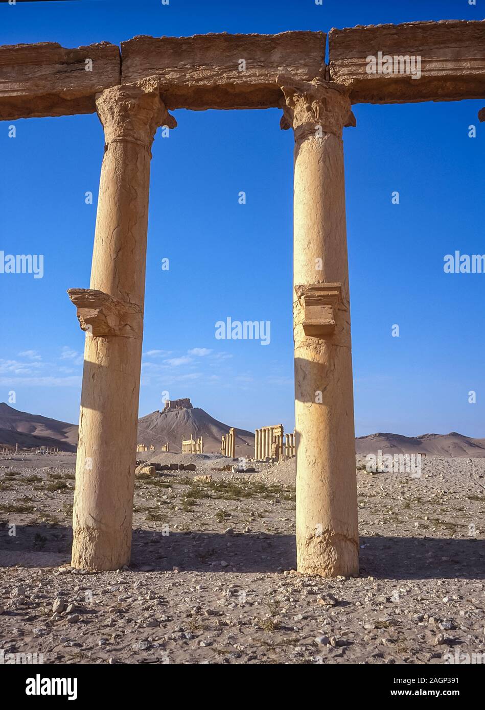 Syria. The ruins of the Roman city of Palmyra built around 200-250AD ...