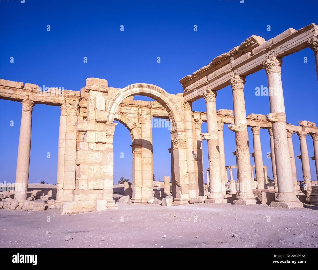 Palmyra Rome