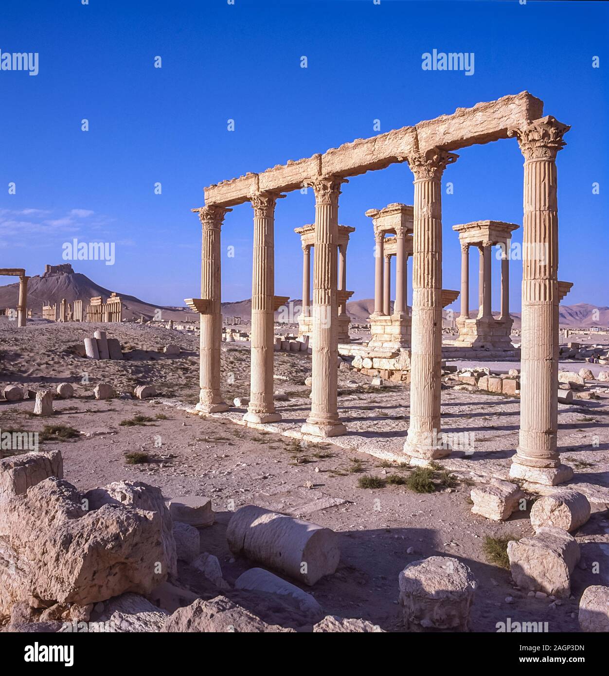 Palmyra Rome