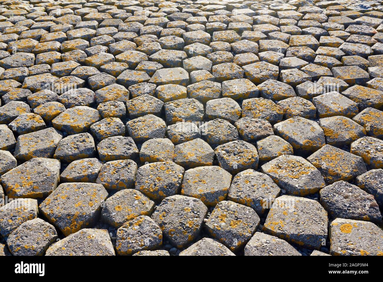 Pattern of geometrical shaped grey basalt stones with yellow lichen ...