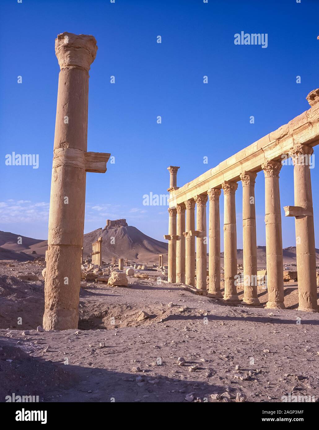 The ruins of the Roman city of Palmyra built around 200-250AD projected ...