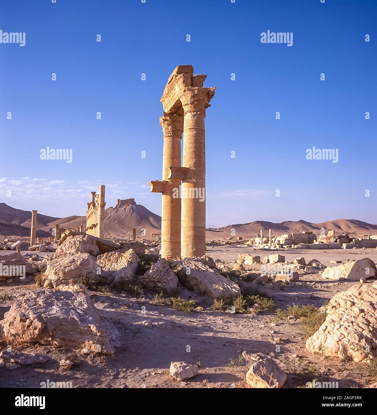 Zenophobia hi-res stock photography and images - Alamy
