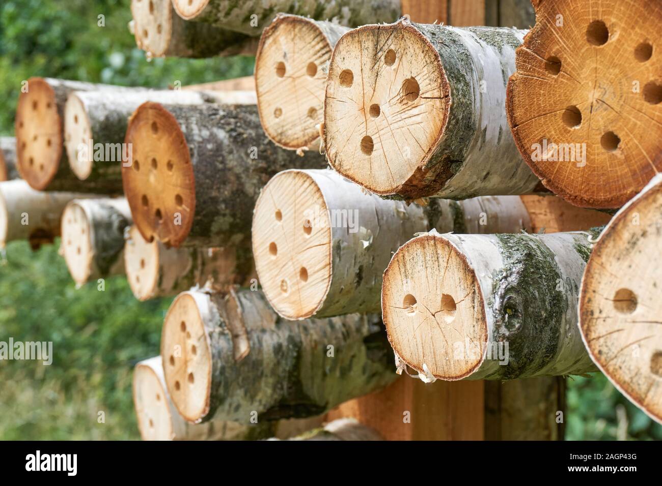 Animal created structure hi-res stock photography and images - Alamy
